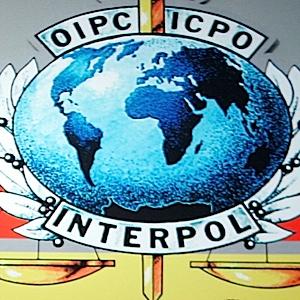 Interpol tống trát truy nã hai giám đốc điều hành của Vinashin | Quảng ...
